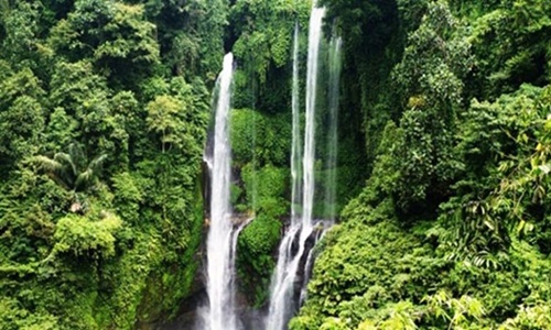 Sekumpul Waterfall Tour Package - Inclusive Bali Tour