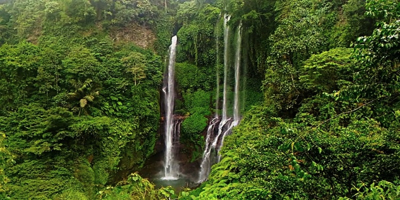 Sekumpul Waterfall - Bali Tourist Attractions - Inclusive Bali Tour