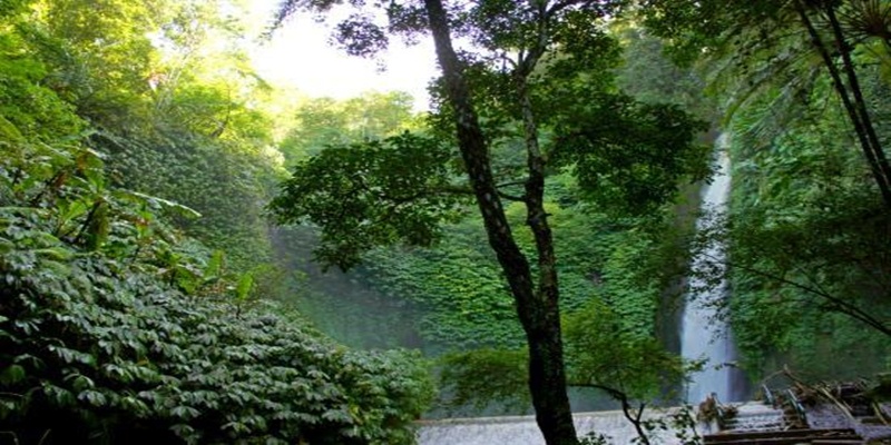 Munduk Trekking Tour - Inclusive Bali Tour