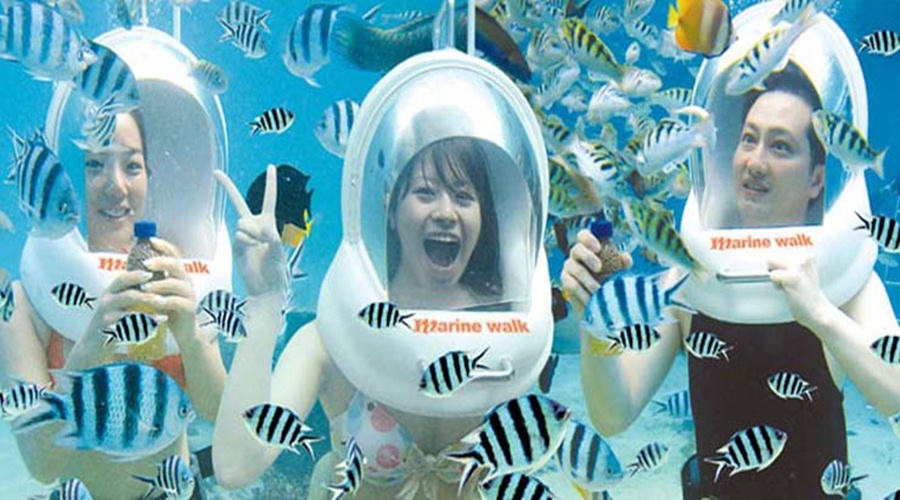 Bali Sea Walker - Inclusive Bali Tour